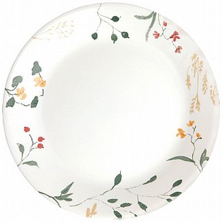 צלחת קורנינג Corelle – Botanical Stripes | פשוט לבית